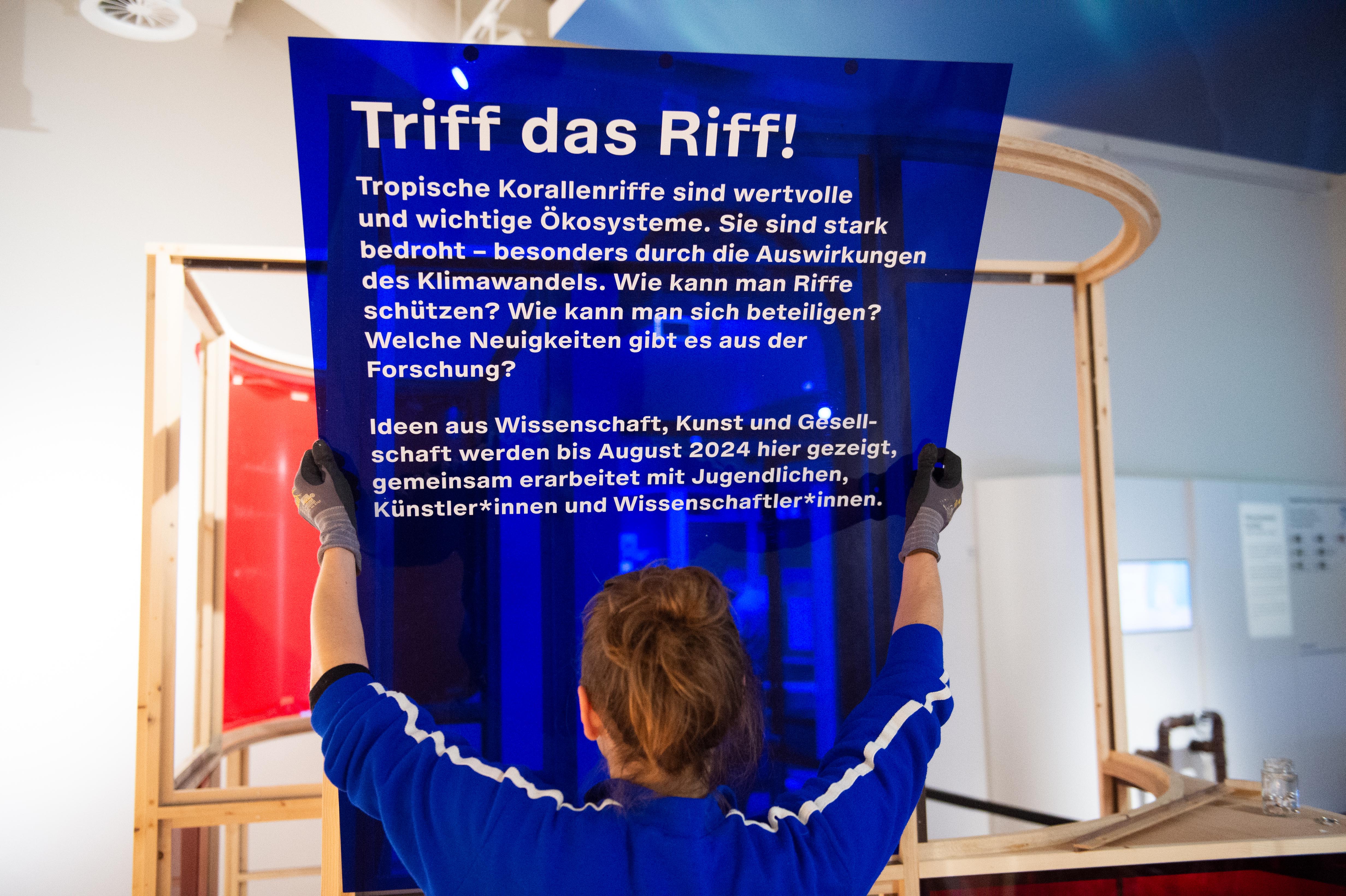 Eintauchen in die Riff-Forschung „Triff das Riff!“ – Sonderausstellung ...