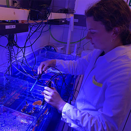 Forschung kompakt: Experiment zu den Auswirkungen von Nanoplastik auf ...
