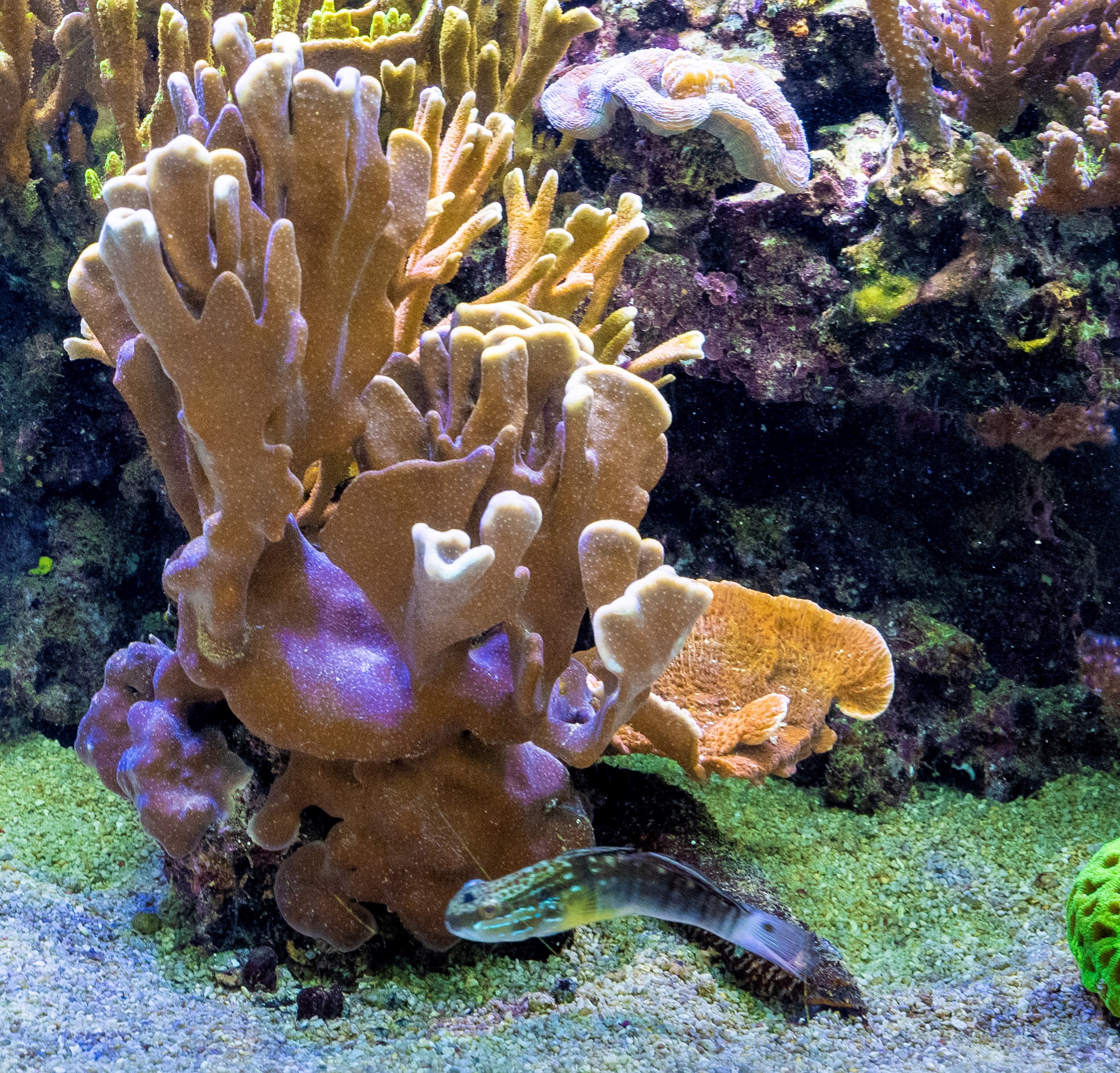 Submit your abstracts for a JMSE special issue on ocean acidification ...