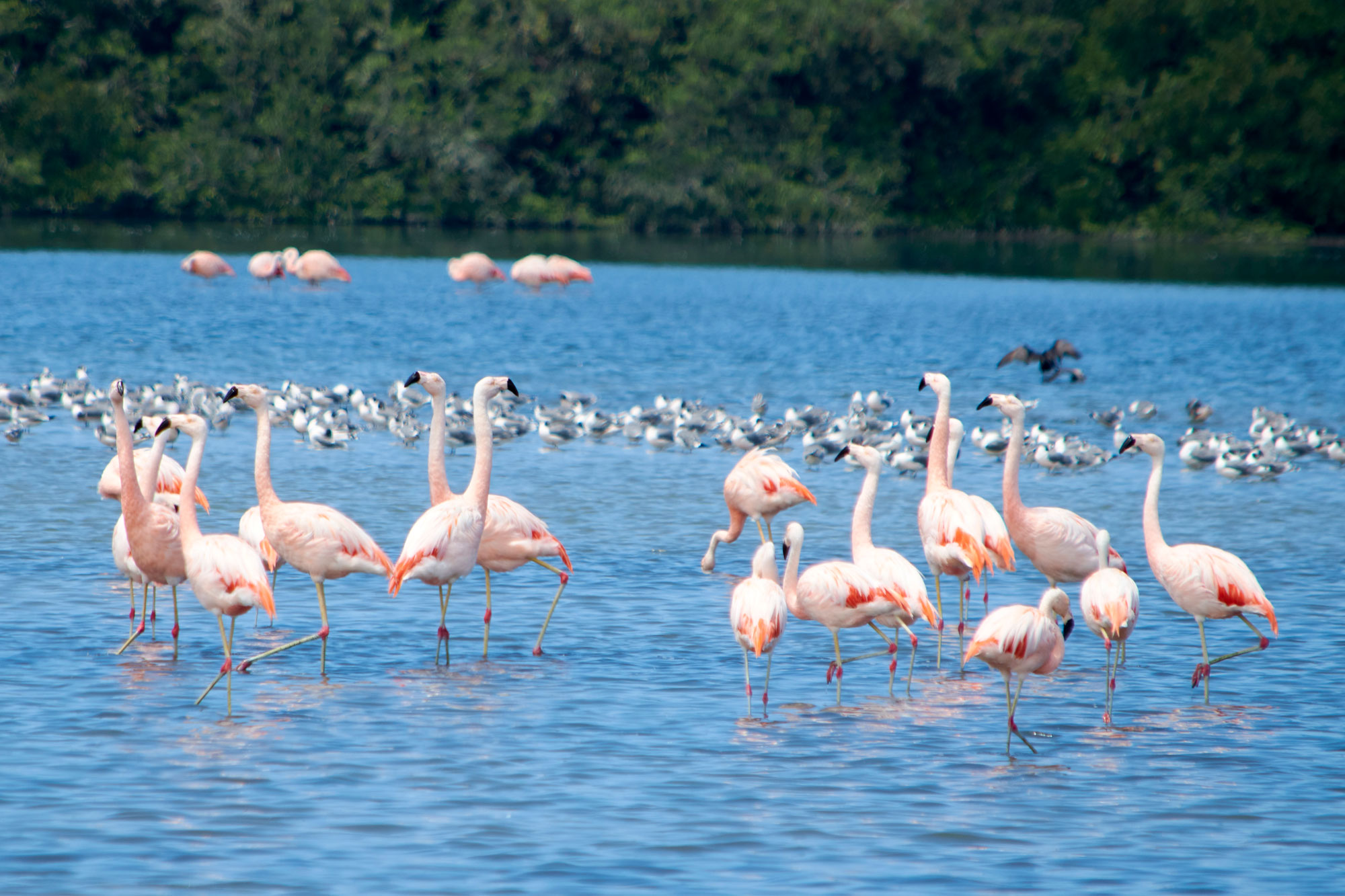 Sechura and Paita Provinces, Piura Region, Peru | February 2023