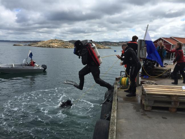 Forschungstauchzentrum