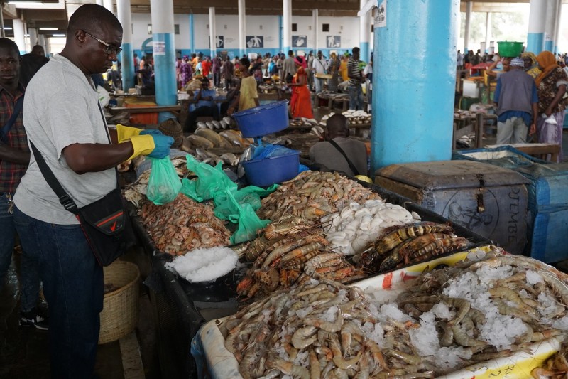 Fisheries in West Africa: Cooperation and competition for marine ...