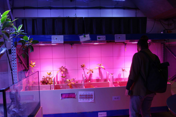 Studierende des neuen Studiengangs "Natural Sciences for Sustainability ...